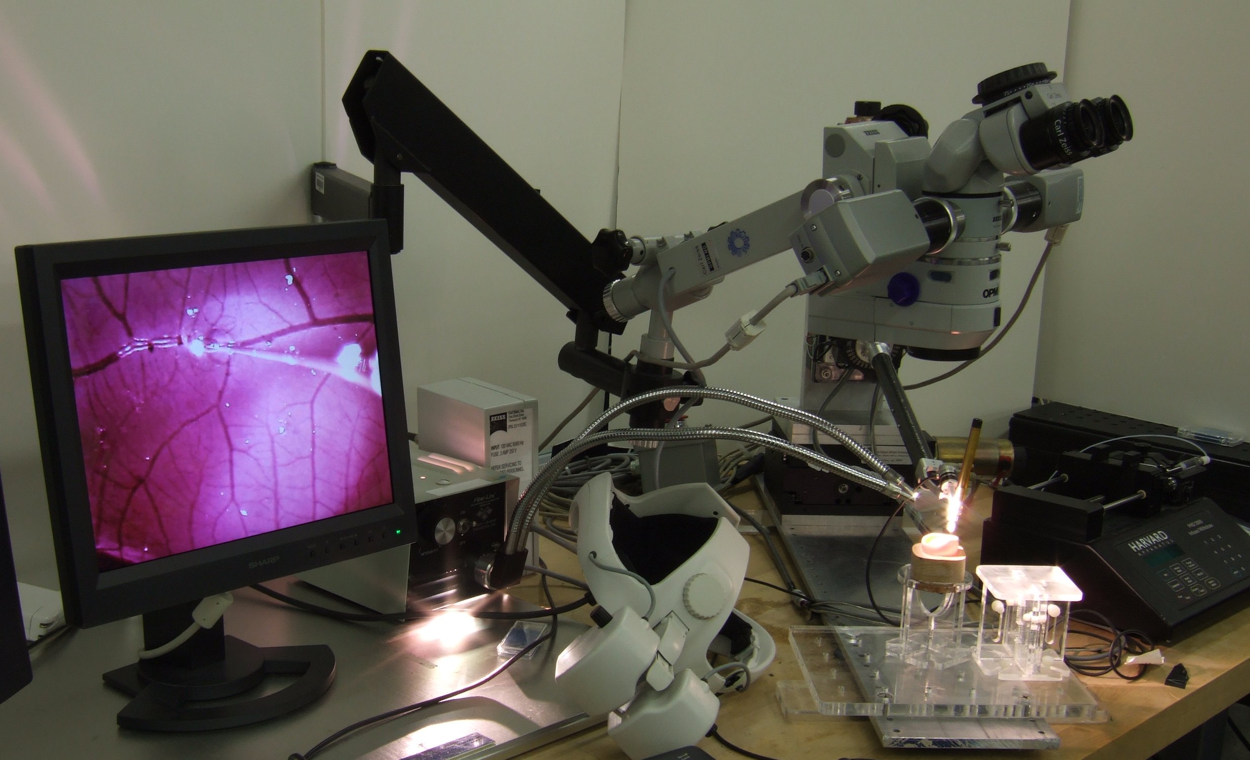 Computational Interaction and Robotics Lab (CIRL) - Research - Johns ...