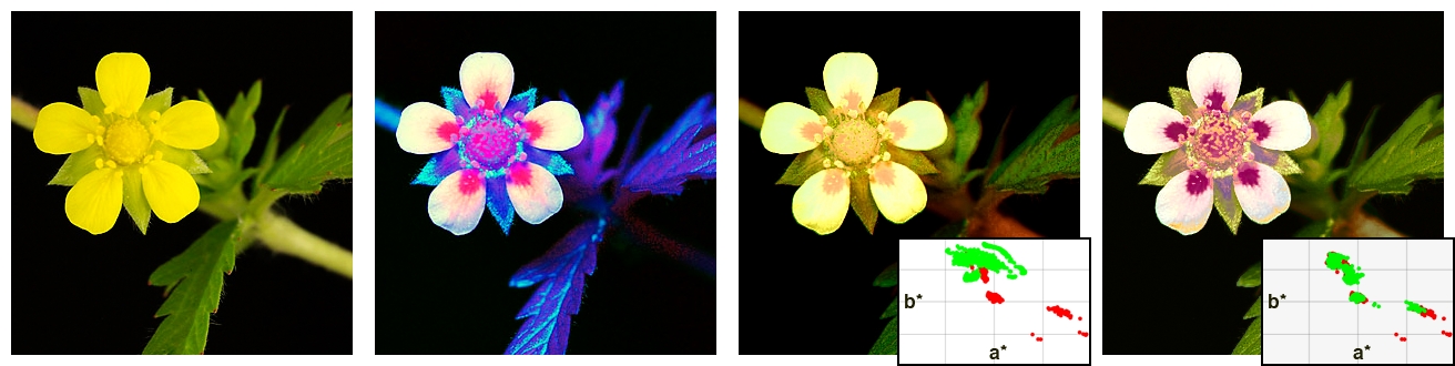 Computer Graphics Group at Johns Hopkins University