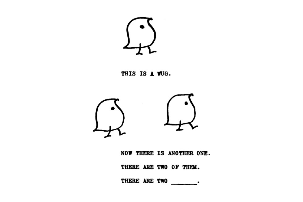 One wug, two wugs: Sofia Rest’s research studies nonword pluralization ...